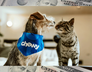 SweepsPet Winners Ring December 2025 - Sweeps.Pet - Tips, News and ...