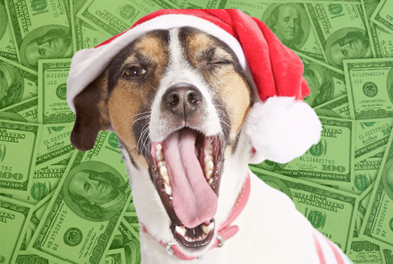 SweepsPet Winners Ring December 2025 - Sweeps.Pet - Tips, News and ...